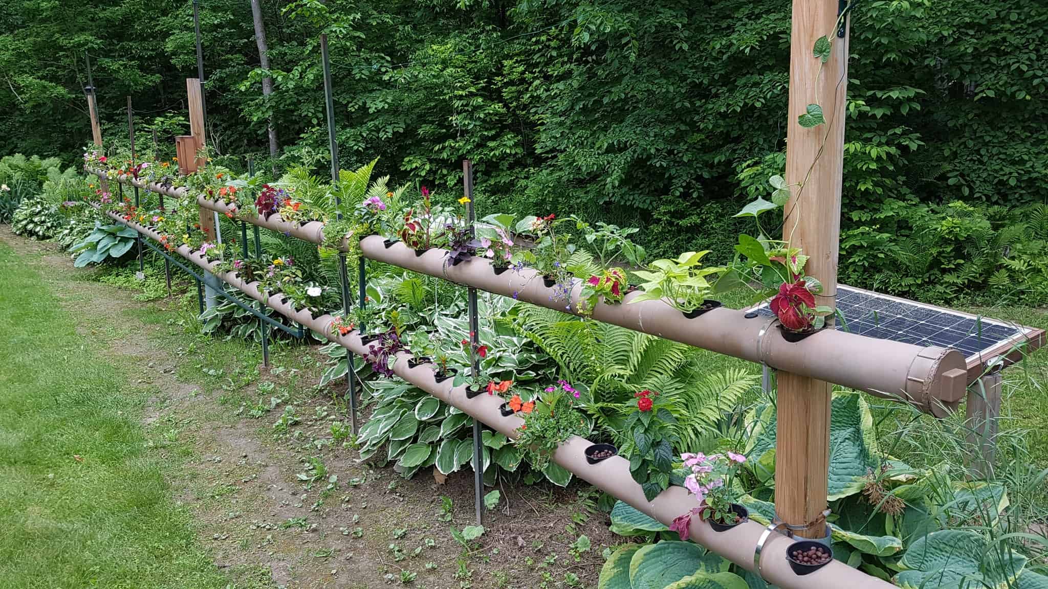 How to Build a DIY Hydroponic System at Home - The Ultimate Homestead