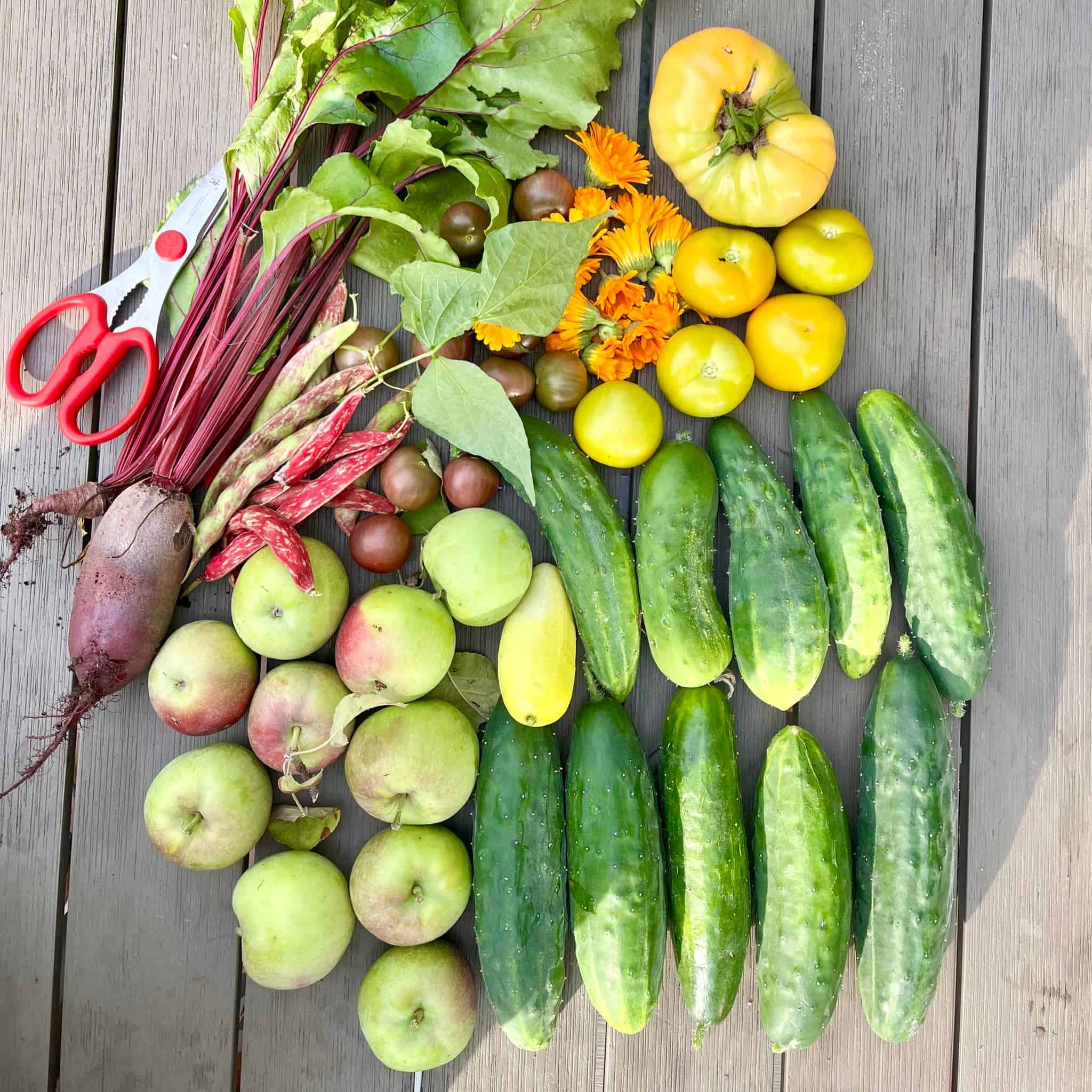 Homestead Garden Layout (How to Design a Productive, Practical Garden ...