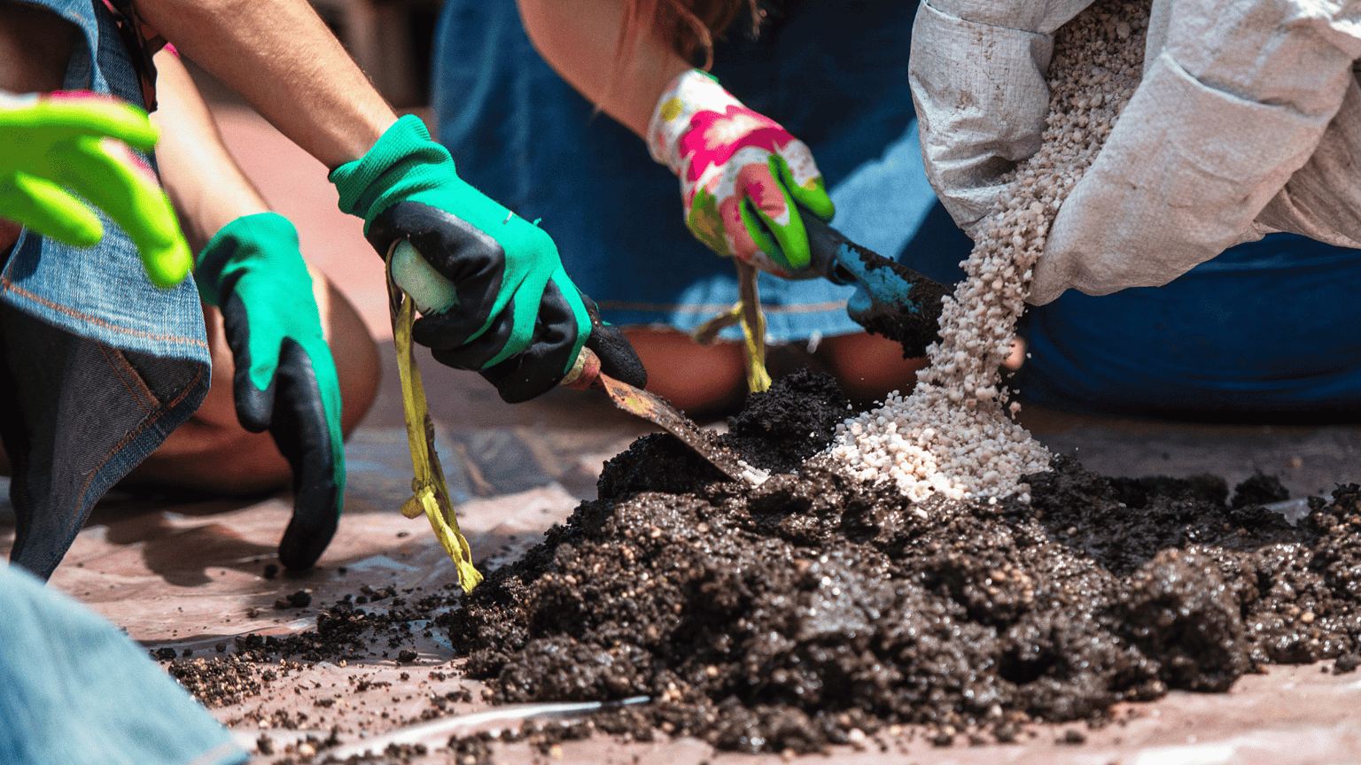 How to Make the Best DIY Seed Starting Soil for Your Garden? - The ...