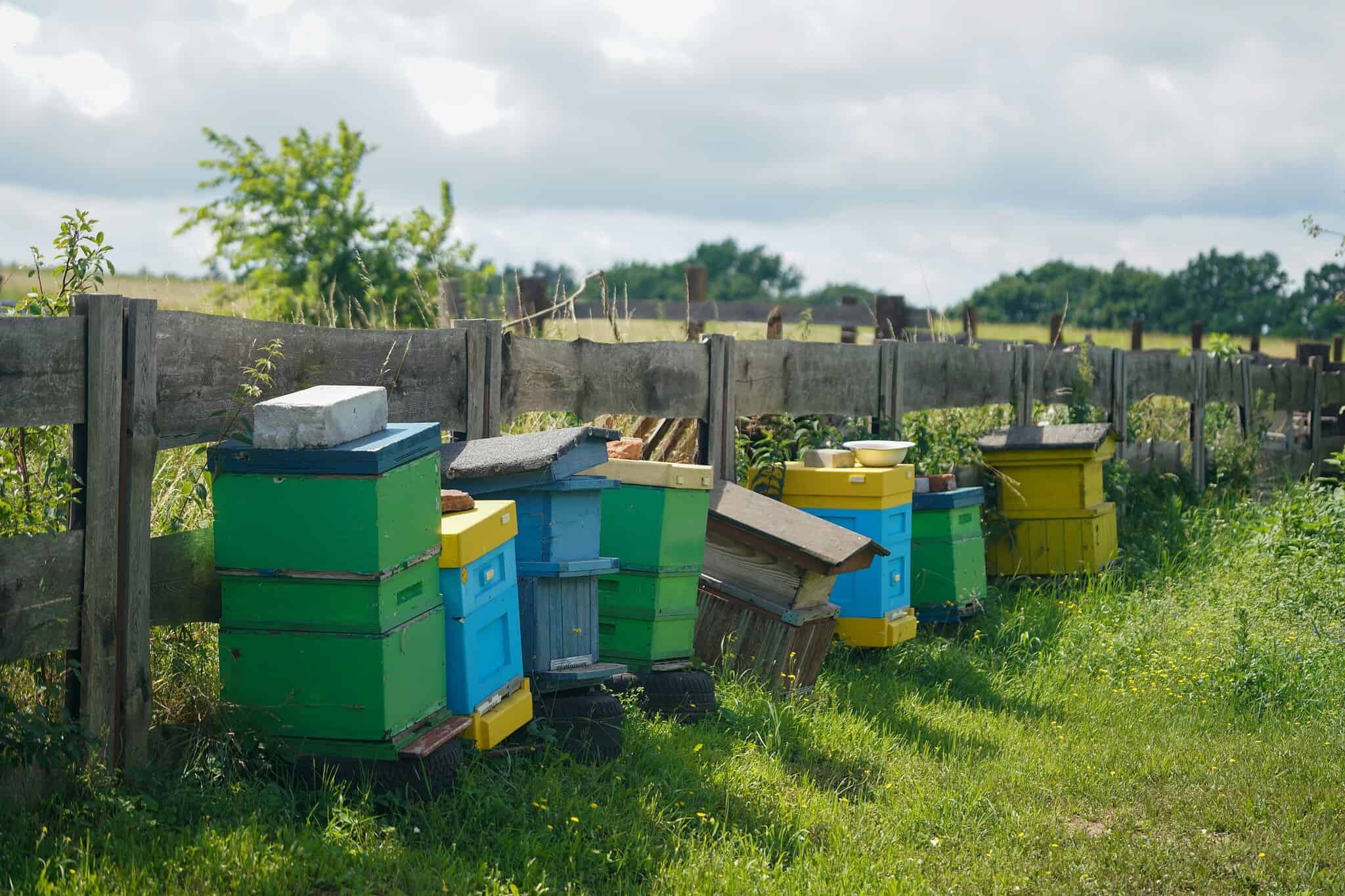 Layout Tips for Designing a Functional and Sustainable 3-Acre Homestead ...