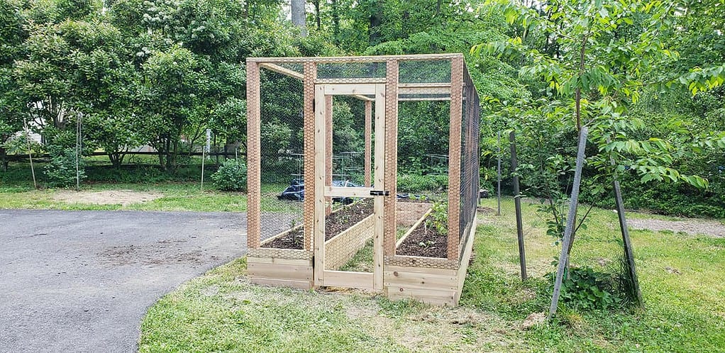 10 Raised Garden Bed Enclosure Ideas for a Protected and Thriving ...