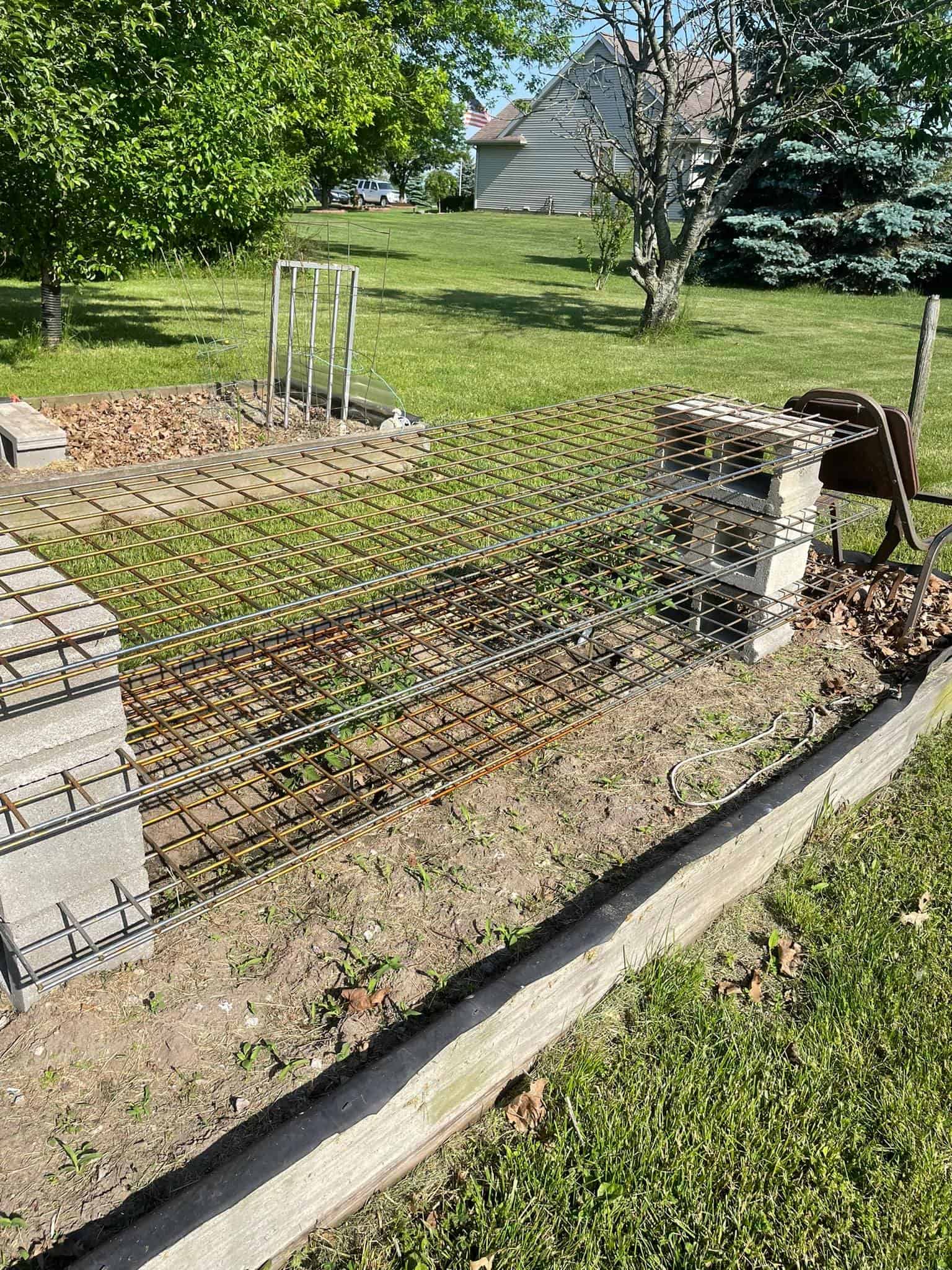 10 Blackberry Trellis Ideas (Easy & Affordable Solutions) - The ...