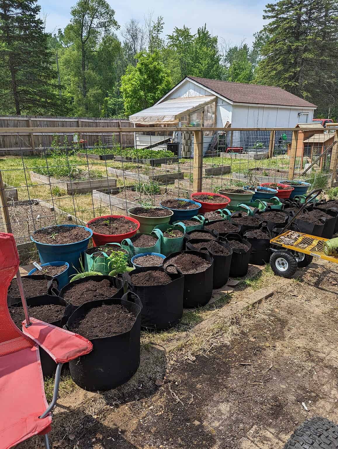 Complete Guide to Making the Best Potting Soil Mix at Home - The ...