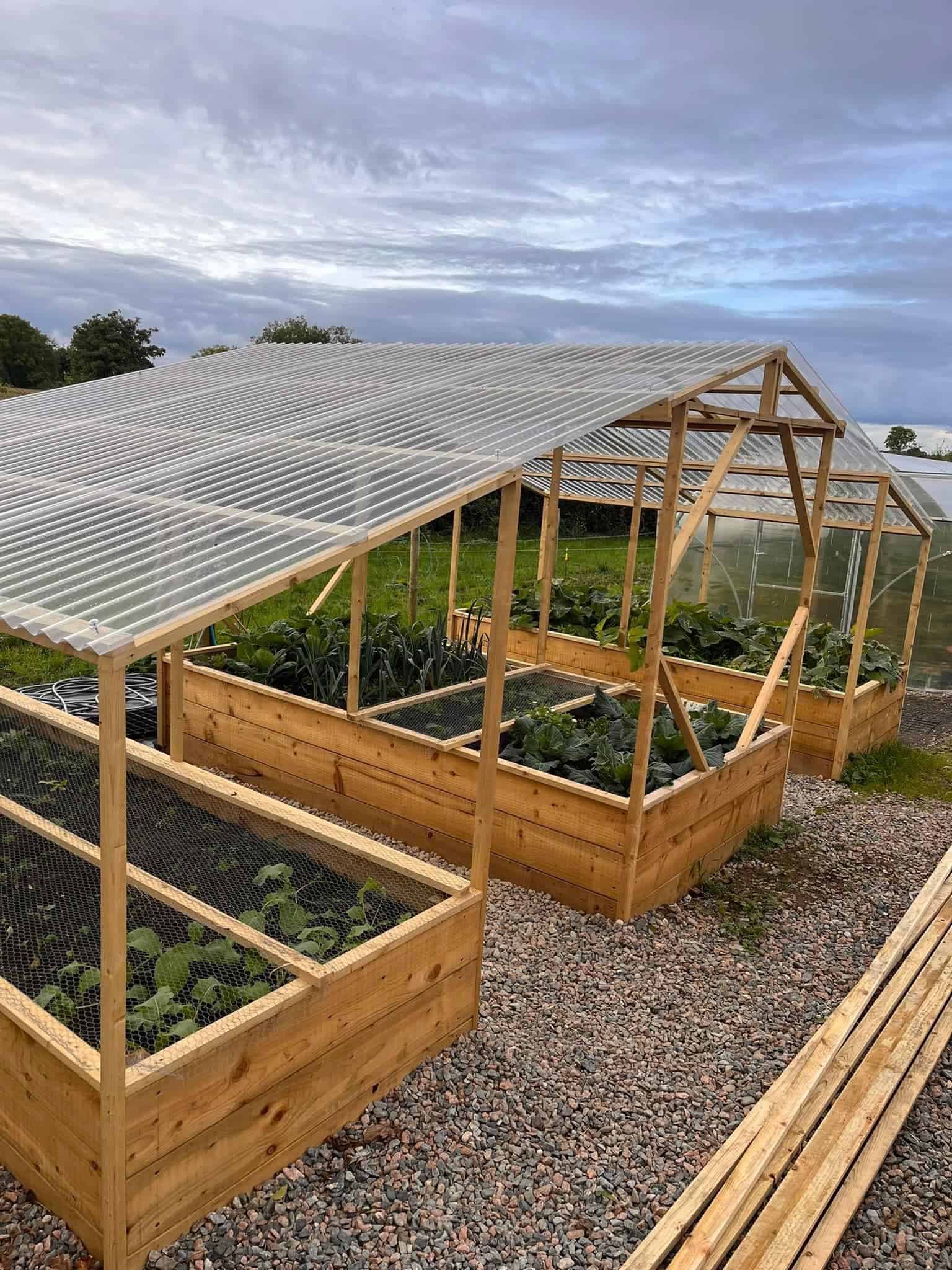 10 Raised Garden Bed Enclosure Ideas for a Protected and Thriving ...