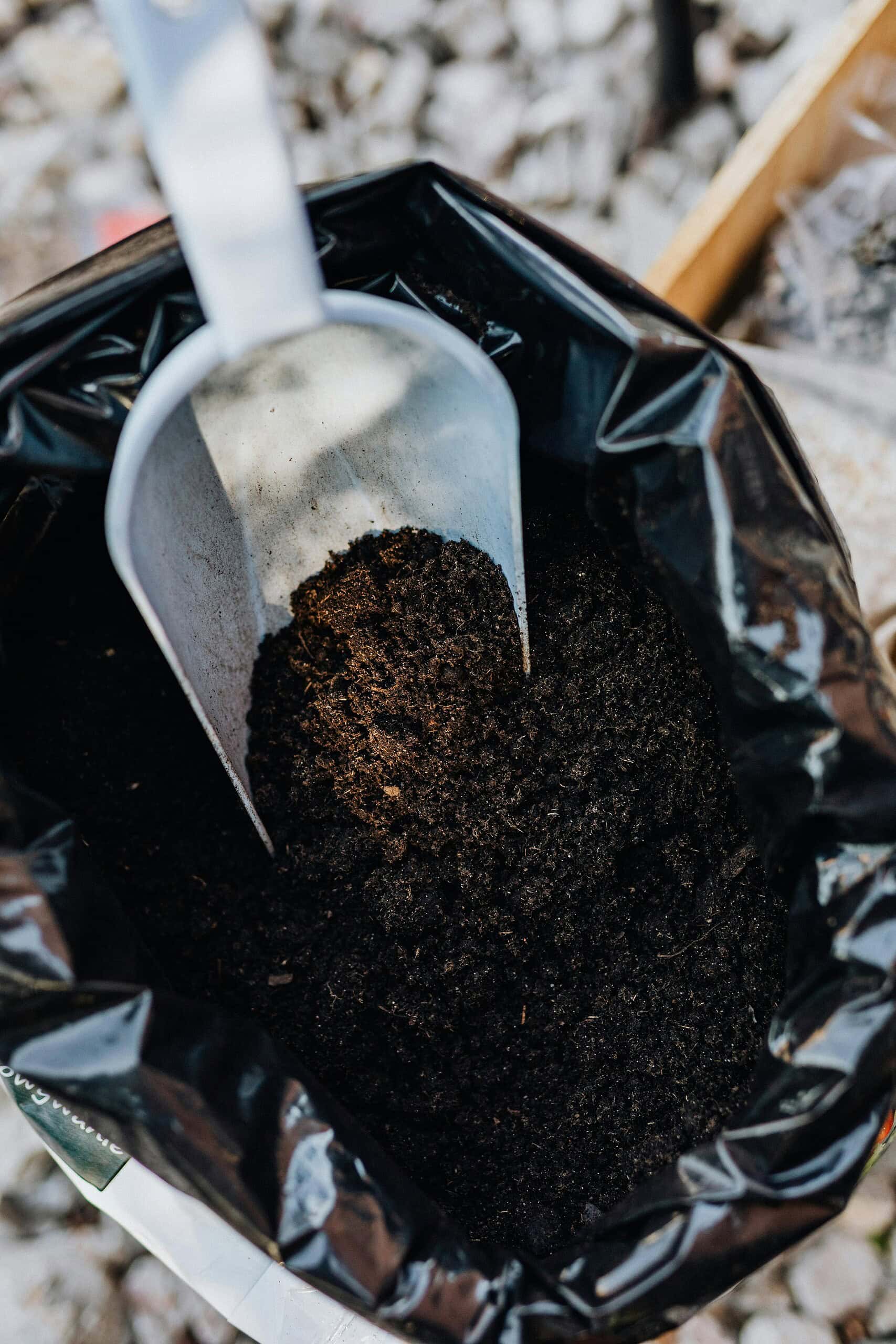 Complete Guide to Making the Best Potting Soil Mix at Home - The ...
