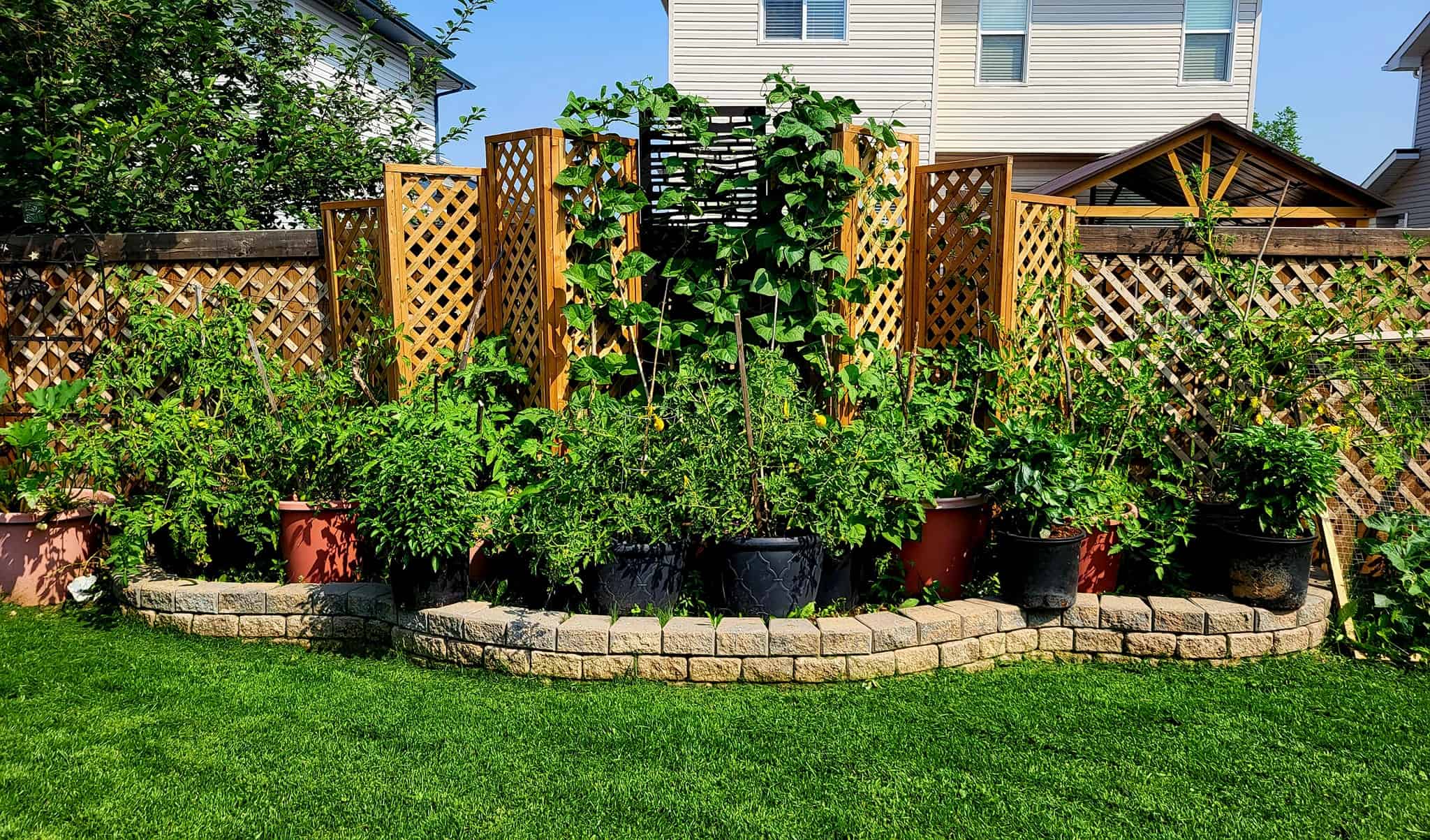 15 Garden Edges and Borders for Beautiful and Organized Outdoor Spaces ...