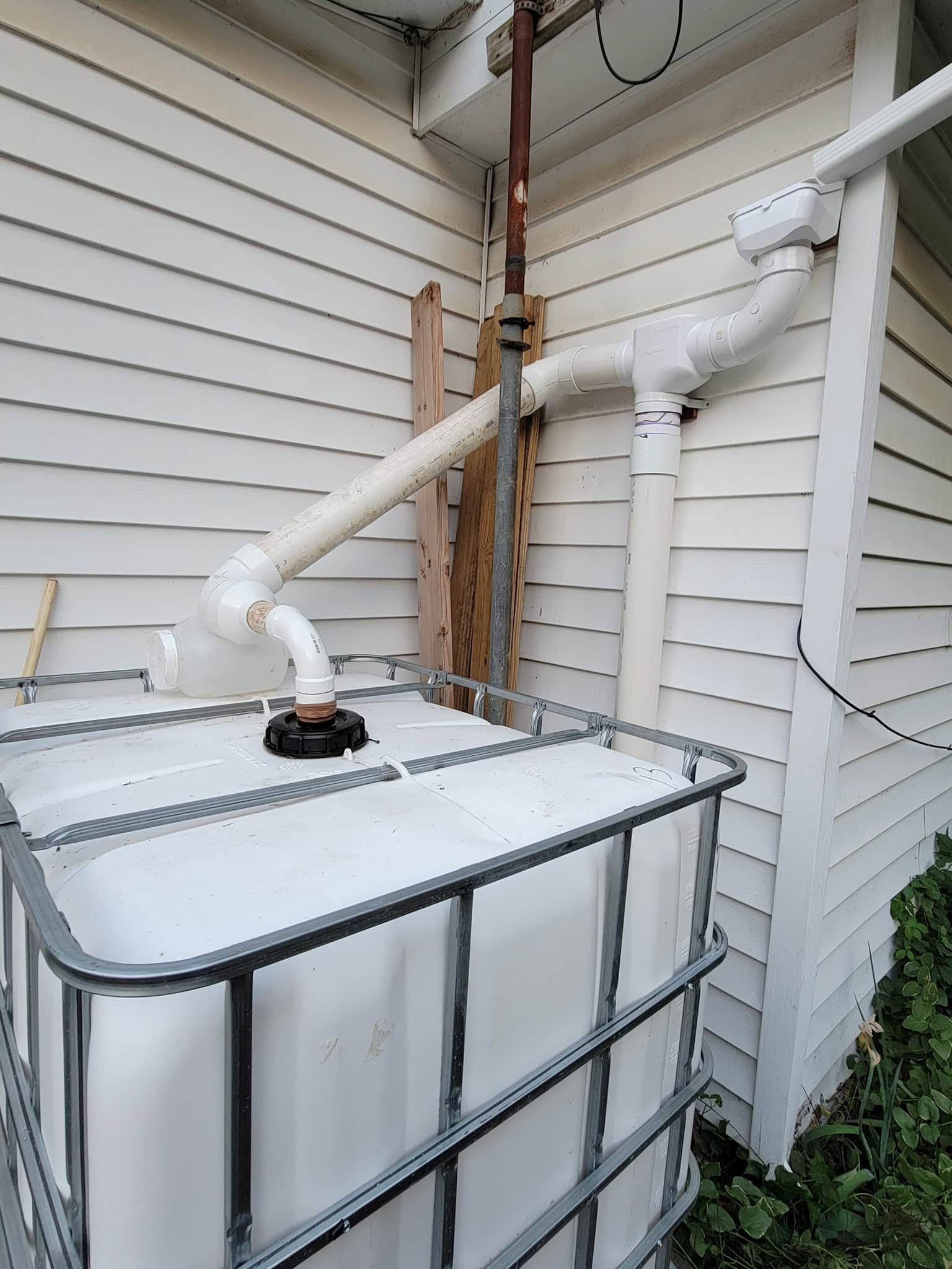 How to Turn Your Tiny Backyard into a Homestead - The Ultimate Homestead