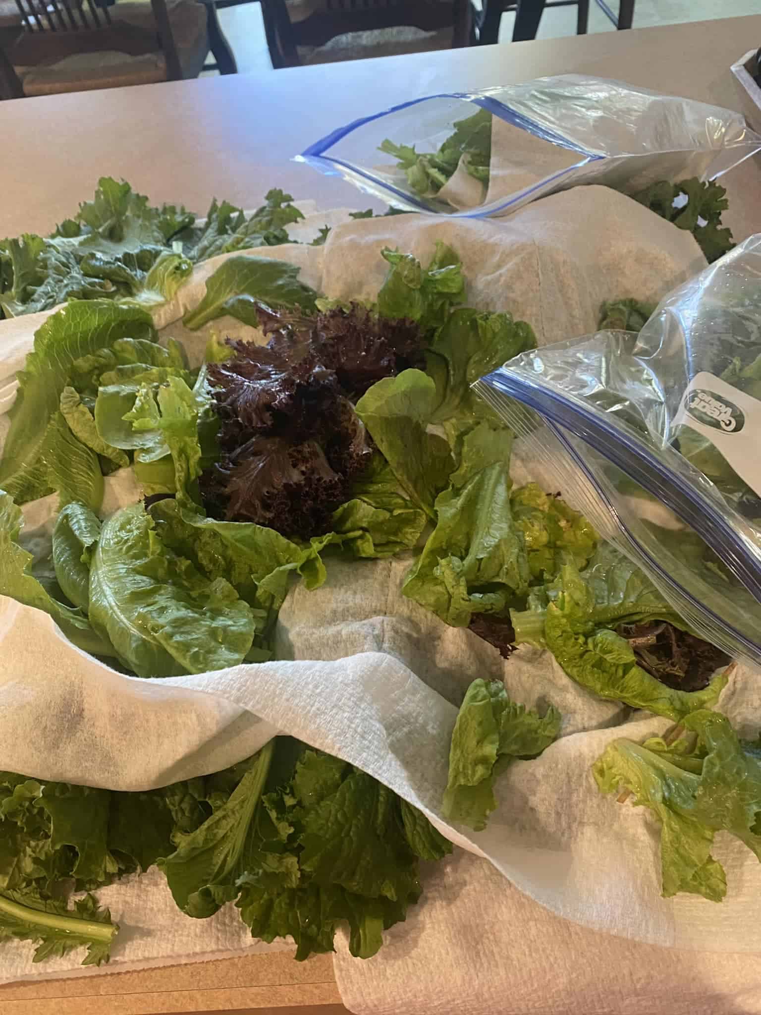 How to Store Lettuce (6 Reliable Ways to Keep It Fresh Longer!) - The ...