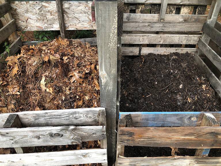 How to Compost for Beginners (Easy Methods, Tips & What to Avoid) - The ...