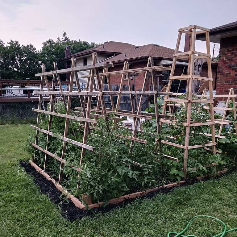 15 Tomato Trellis Ideas for Every Garden Type (Simple, DIY, and Heavy-Duty Options) - The ...