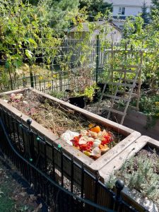 15 Honest Reasons Why You Should Homestead - The Ultimate Homestead