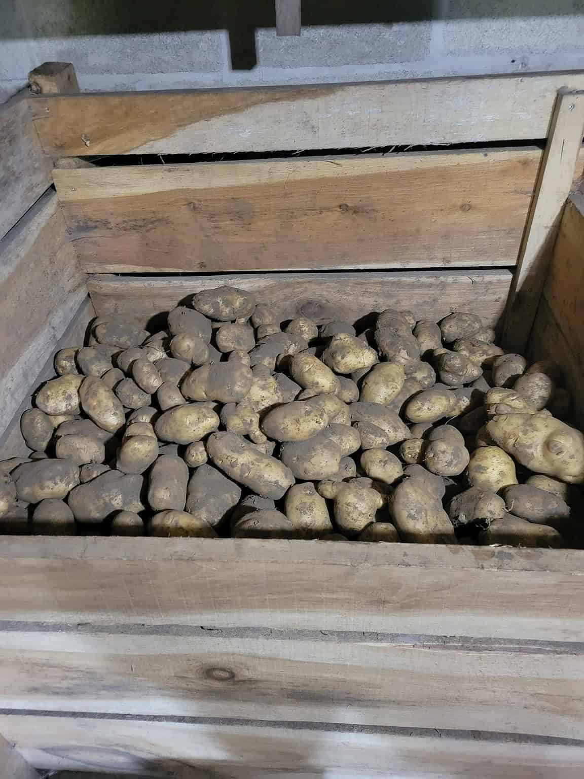 10 Root Cellar Ideas (Even If You Don’t Have a Basement) - The Ultimate ...