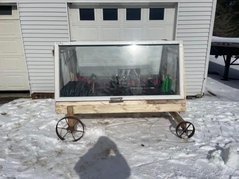 15 Backyard Farm Ideas That Are Actually Doable - The Ultimate Homestead