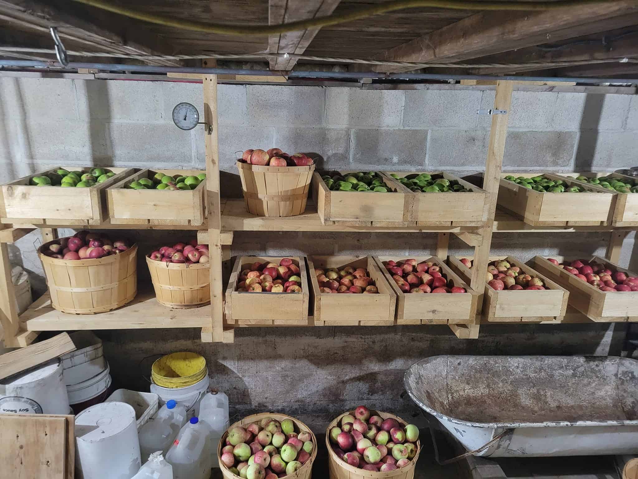 15 Backyard Farm Ideas That Are Actually Doable - The Ultimate Homestead