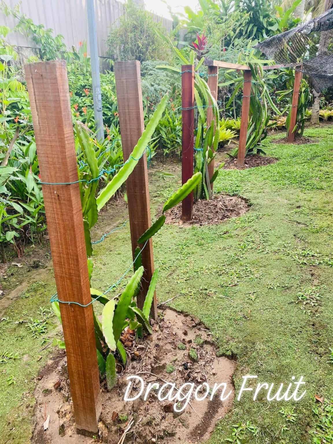 15 Backyard Farm Ideas That Are Actually Doable - The Ultimate Homestead