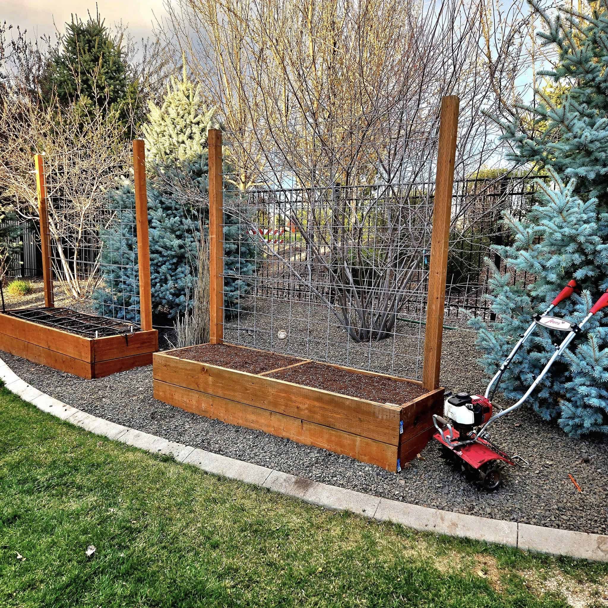 10 Best Trellises for Sweet Peas (DIY & Ready-Made Options!) - The ...