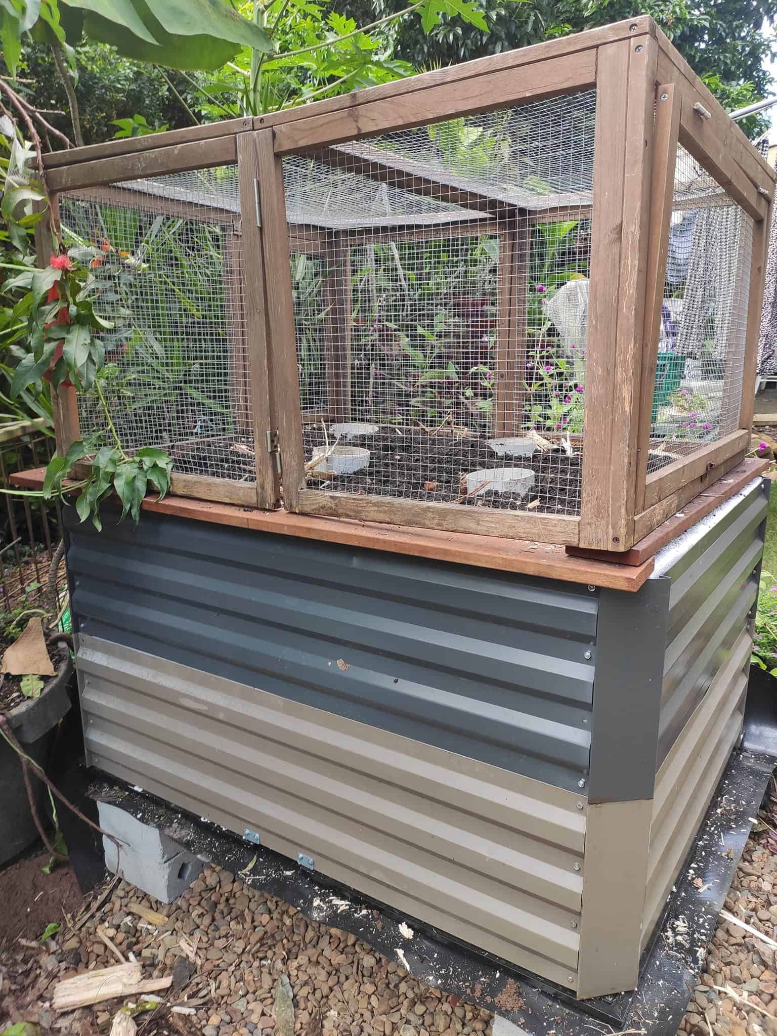 10 Easy Quail Enclosure Ideas for Any Backyard - The Ultimate Homestead