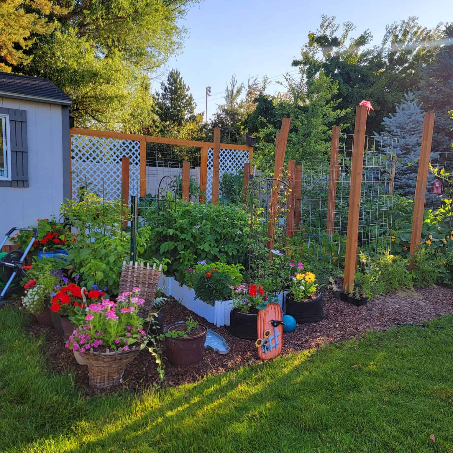 15 Backyard Farm Ideas That Are Actually Doable - The Ultimate Homestead