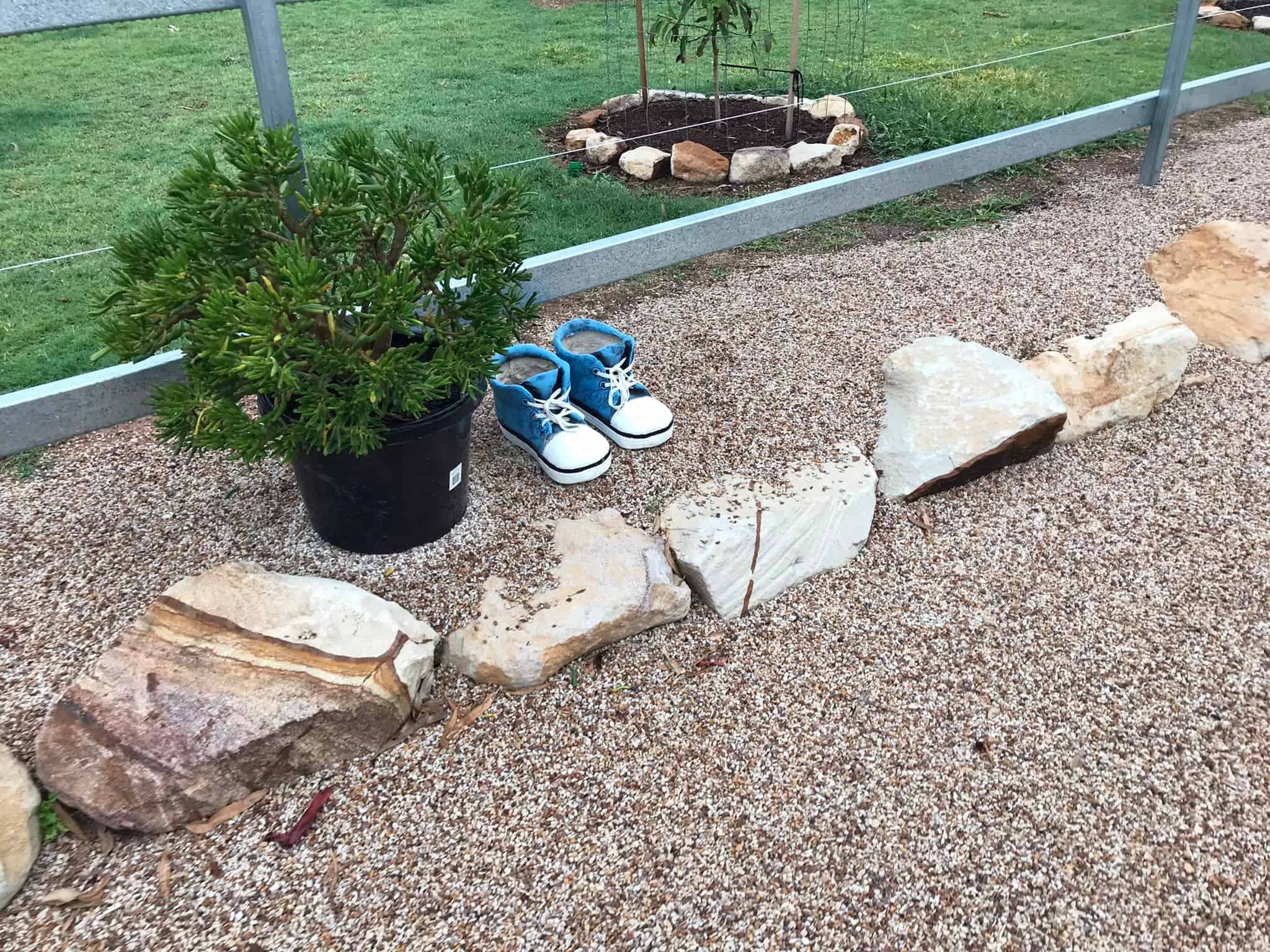 15 Garden Edges and Borders for Beautiful and Organized Outdoor Spaces ...