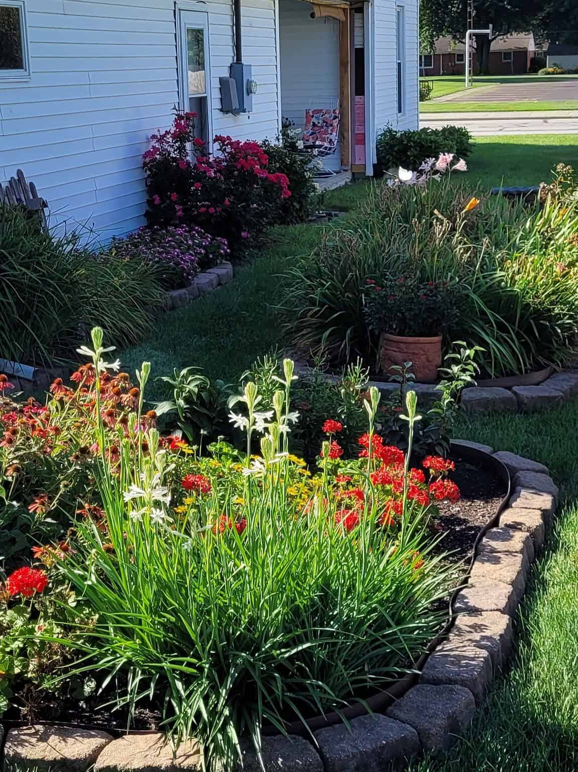 15 Garden Edges and Borders for Beautiful and Organized Outdoor Spaces ...