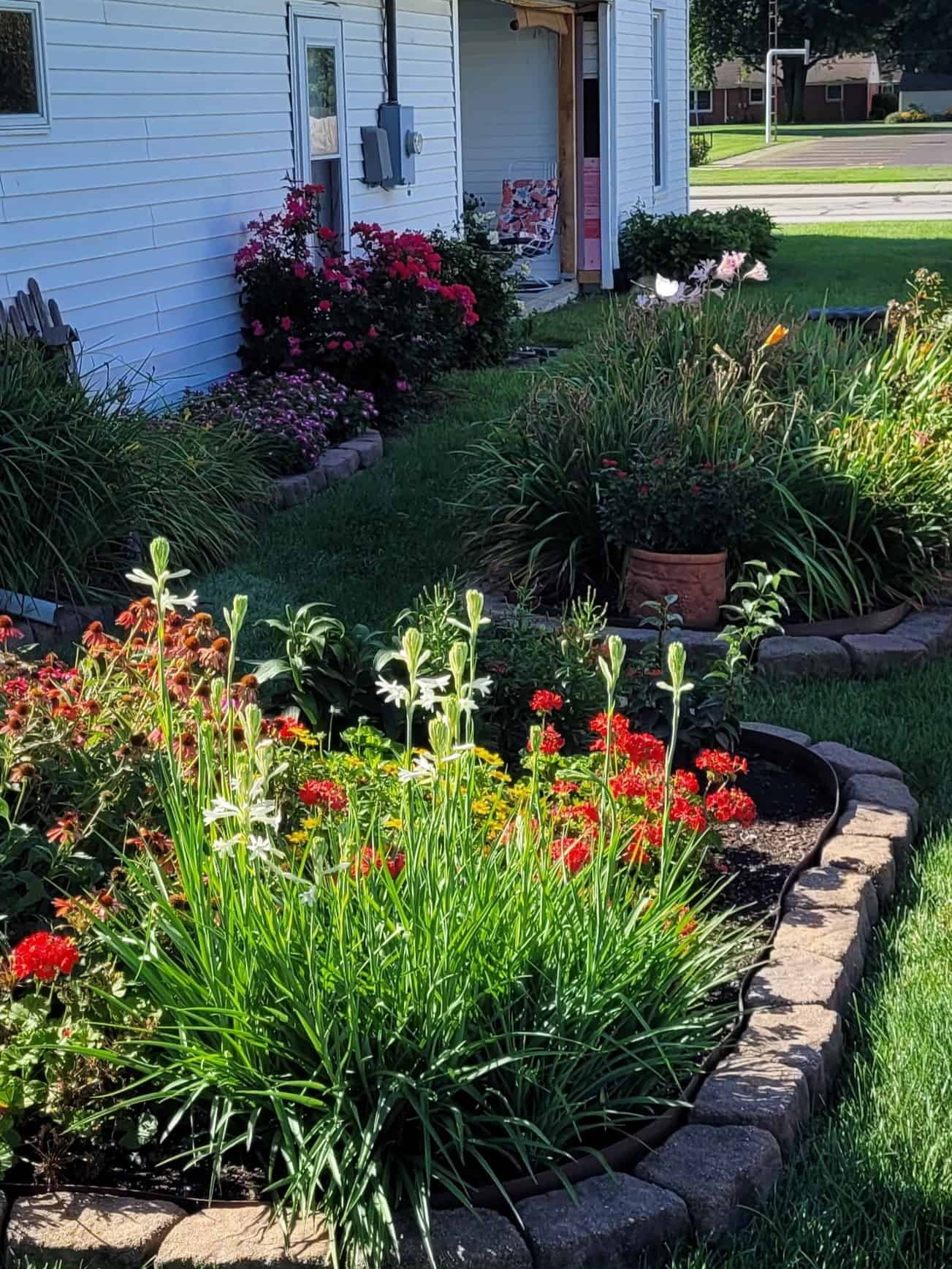 15 Garden Edges and Borders for Beautiful and Organized Outdoor Spaces ...