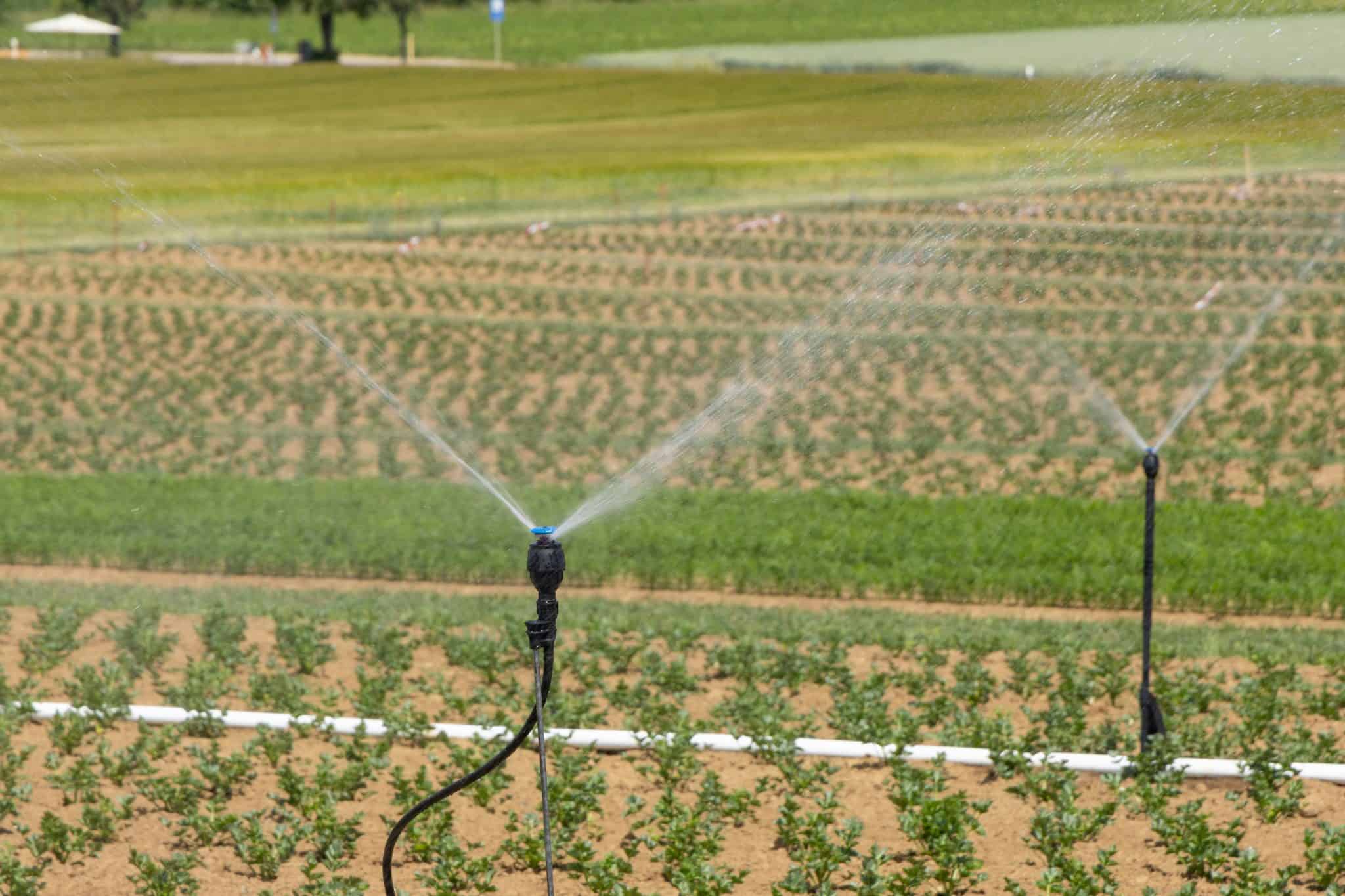 5 Types of Garden Irrigation (and Where to Use Each One) - The Ultimate ...