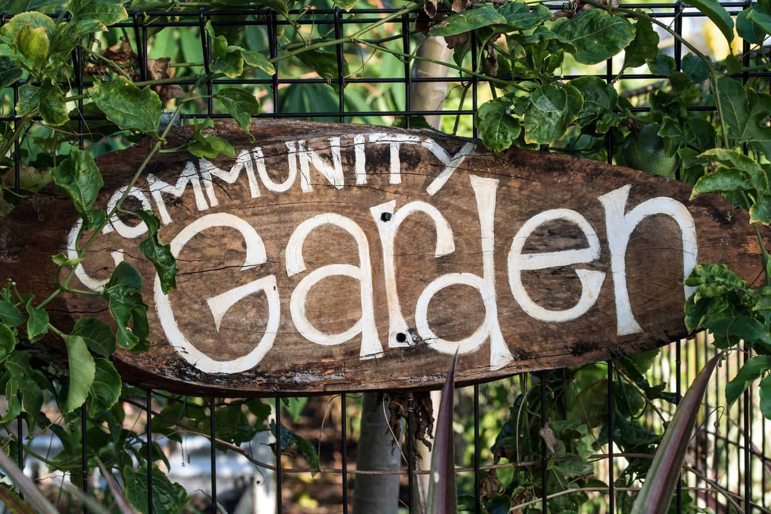 How to Turn Your Tiny Backyard into a Homestead - The Ultimate Homestead