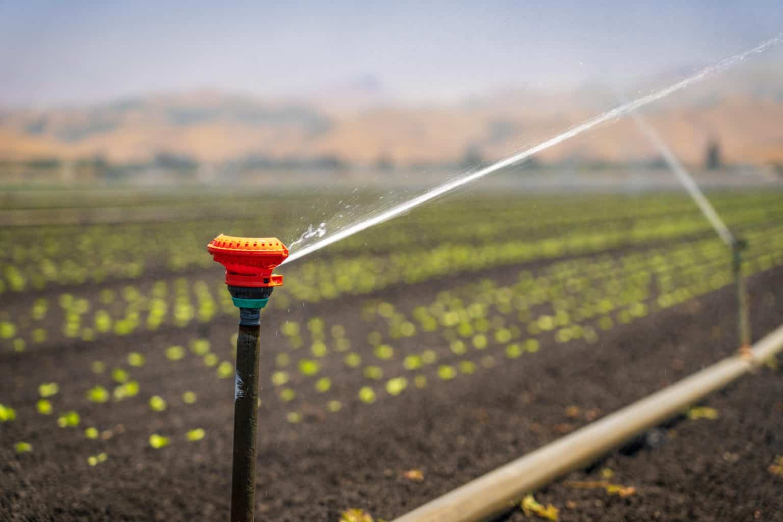 Sprinkler Irrigation Made Simple: How, When, and Where to Water Wisely ...