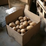 How to Store Potatoes for Freshness and Longer Shelf Life - The ...