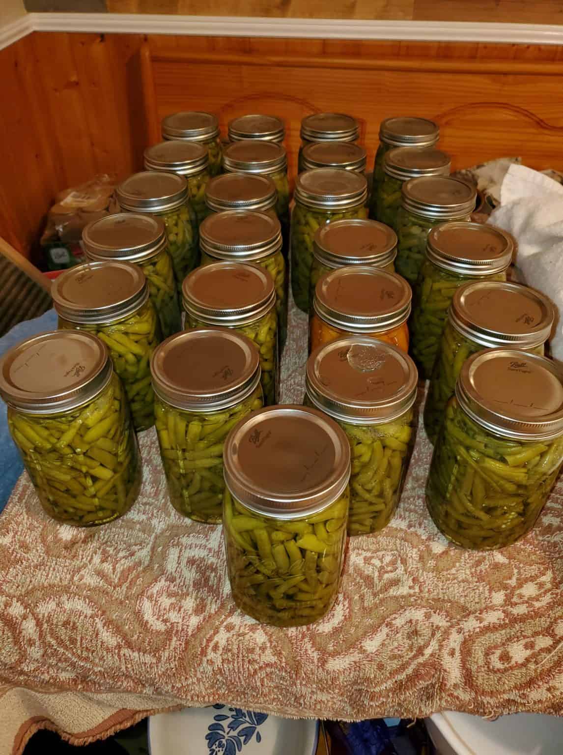 11 Steps to Home-Canned Green Beans - The Ultimate Homestead