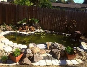 10 Duck Pond Setups Your Ducks Will Love - The Ultimate Homestead