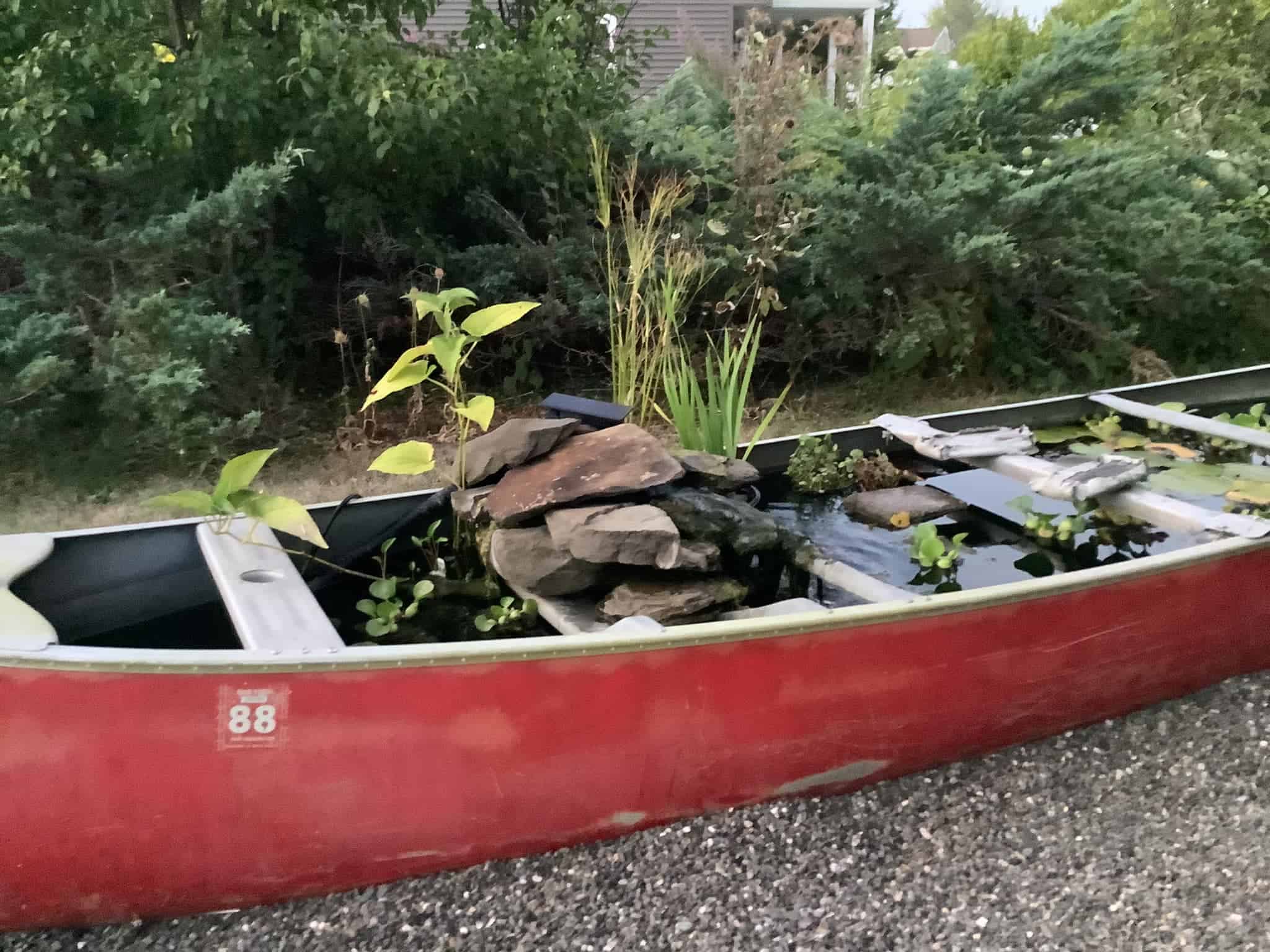 12 Backyard Pond Ideas That Are Budget-Friendly and Easy to Build - The ...