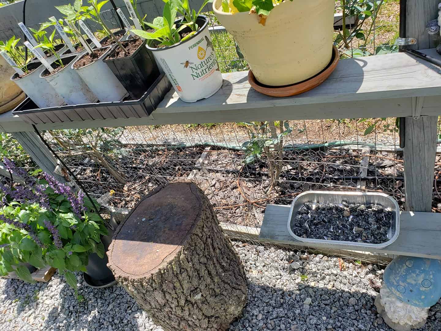 14 Corner Garden Ideas to Make Every Inch of Your Yard Count - The ...