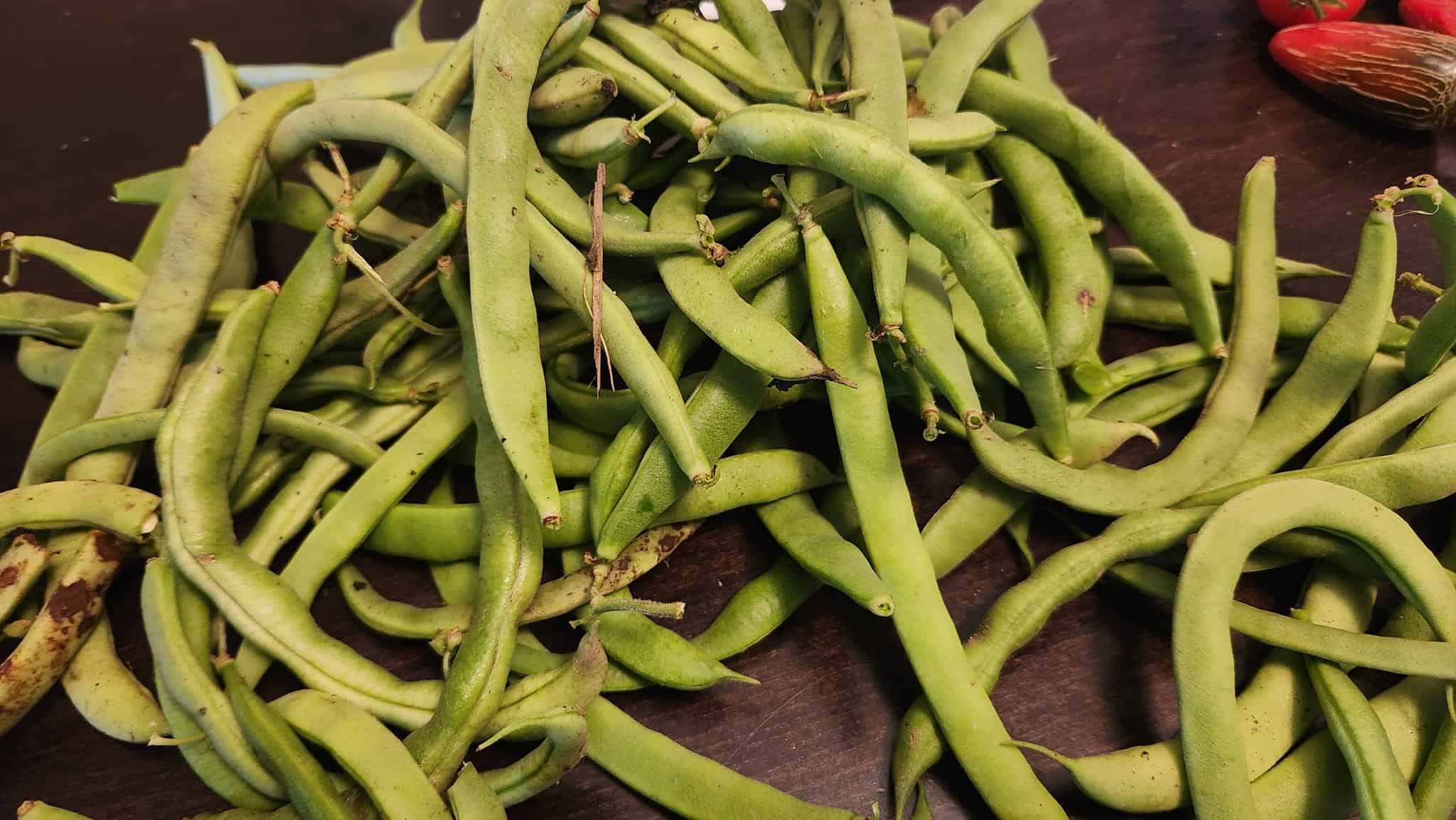 11 Steps to Home-Canned Green Beans - The Ultimate Homestead