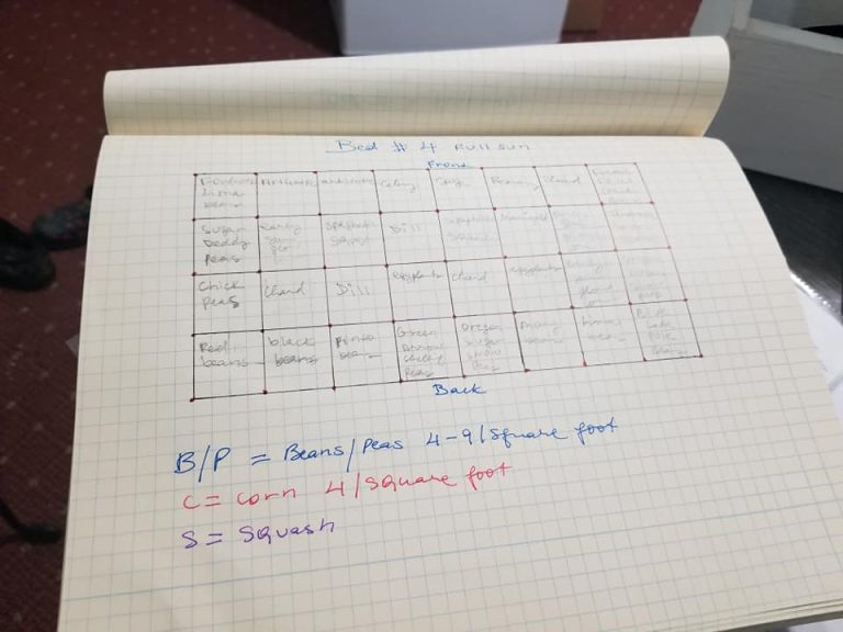 Square Foot Gardening Plans for Easy and Abundant Harvests - The ...