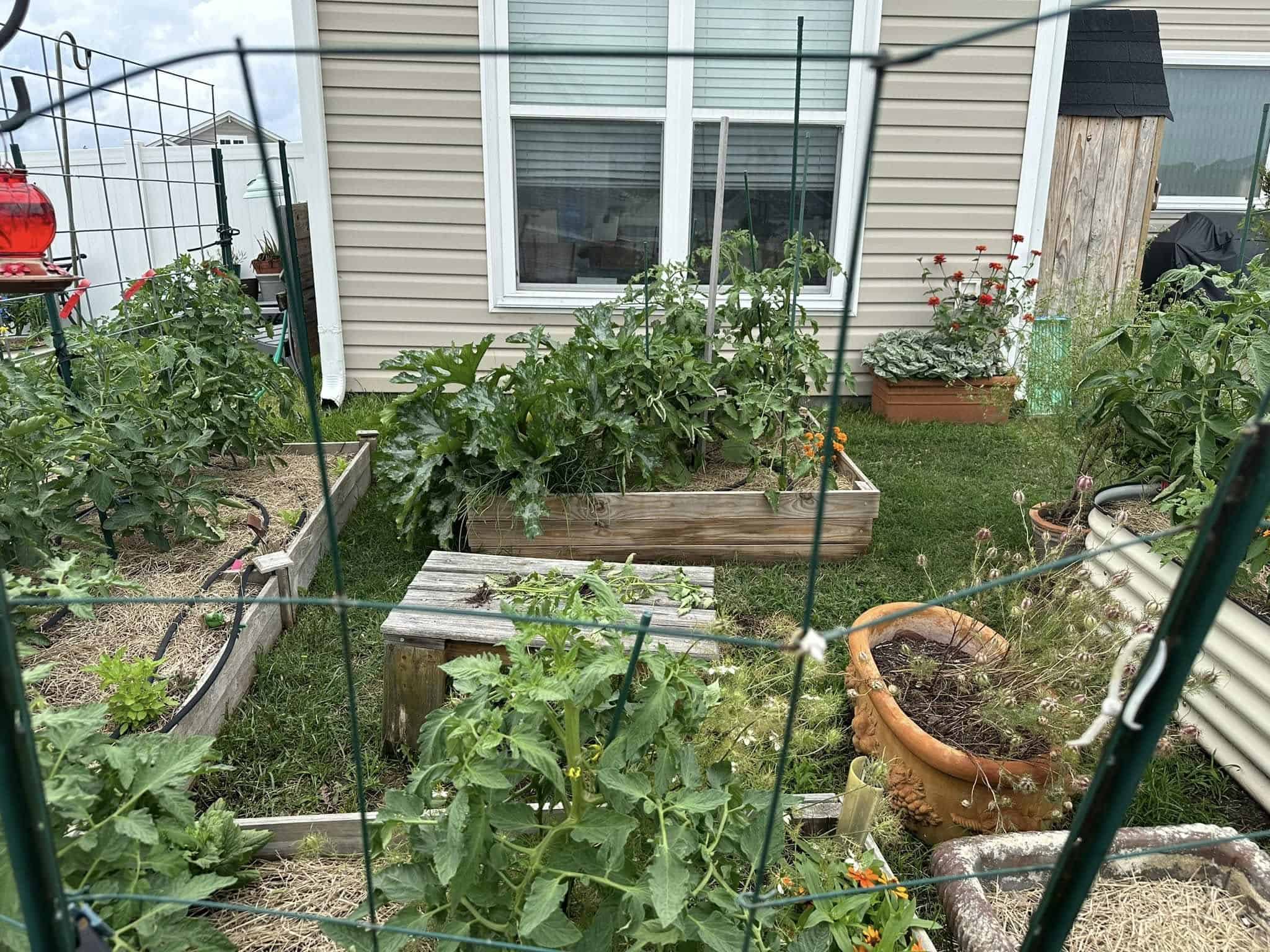 14 Corner Garden Ideas to Make Every Inch of Your Yard Count - The ...