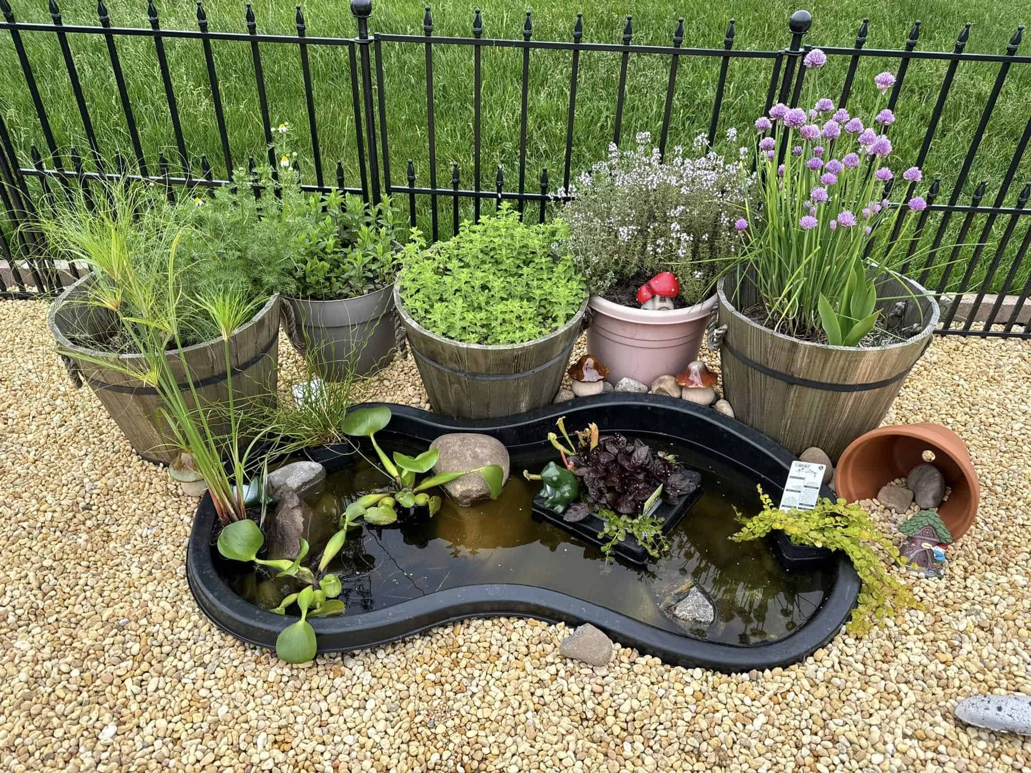 12 Backyard Pond Ideas That Are Budget-Friendly and Easy to Build - The ...