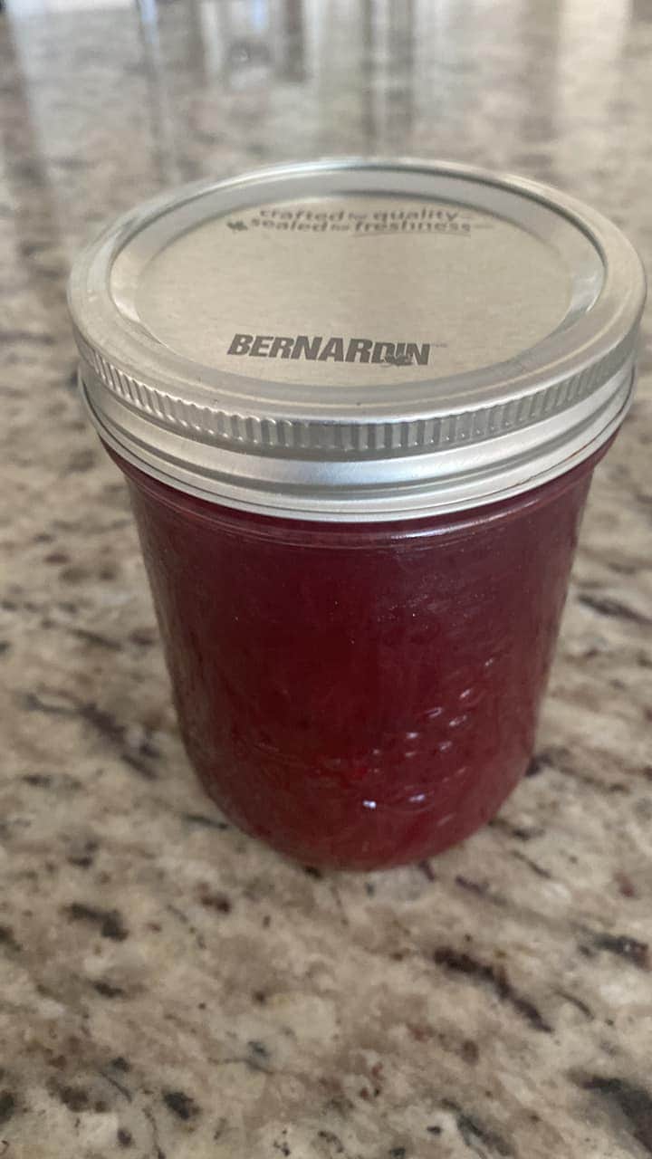 Irresistible Homemade Plum Jam Recipe - The Ultimate Homestead