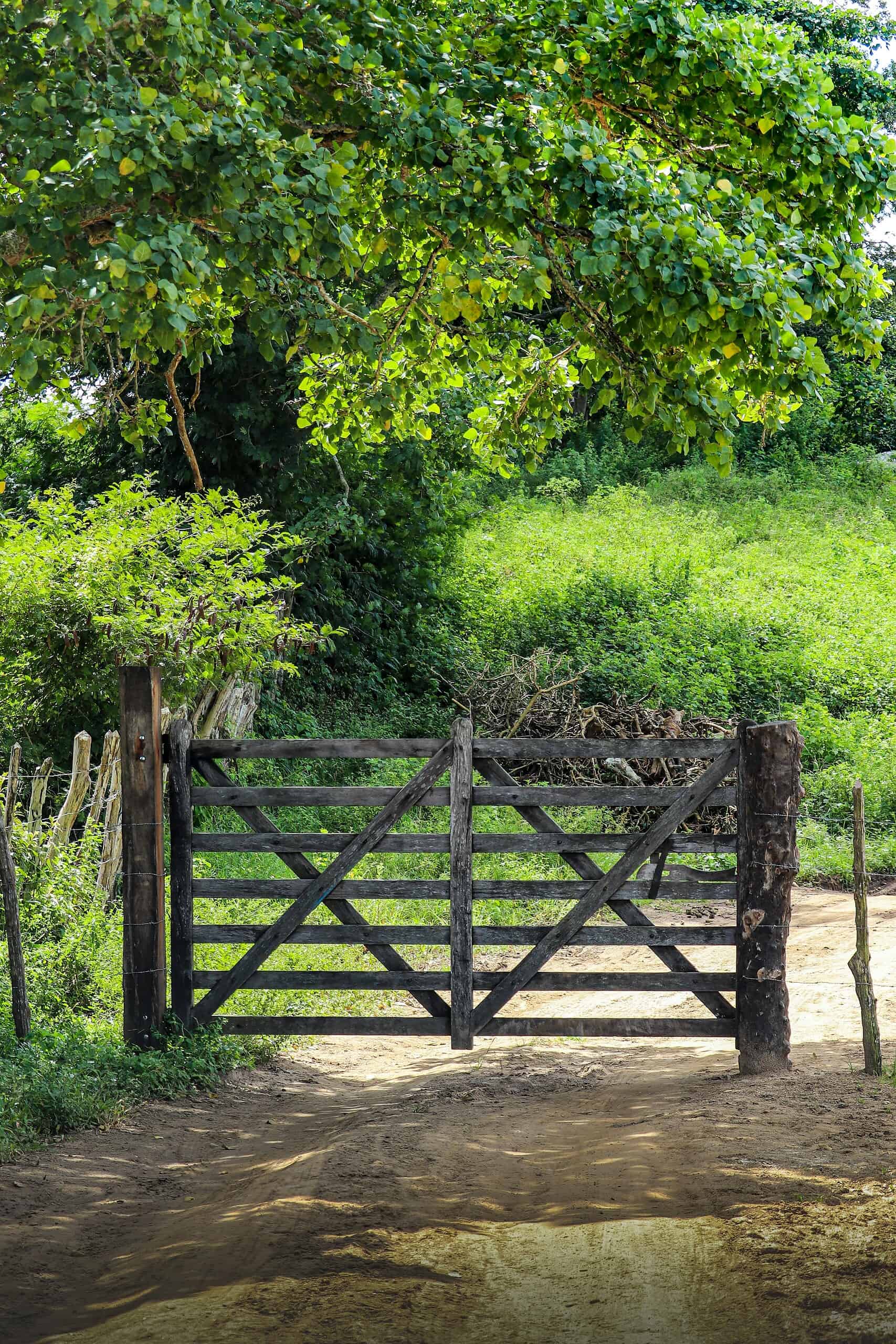 20 Gorgeous Farm Gate Entrance Ideas for Your Homestead - The Ultimate ...