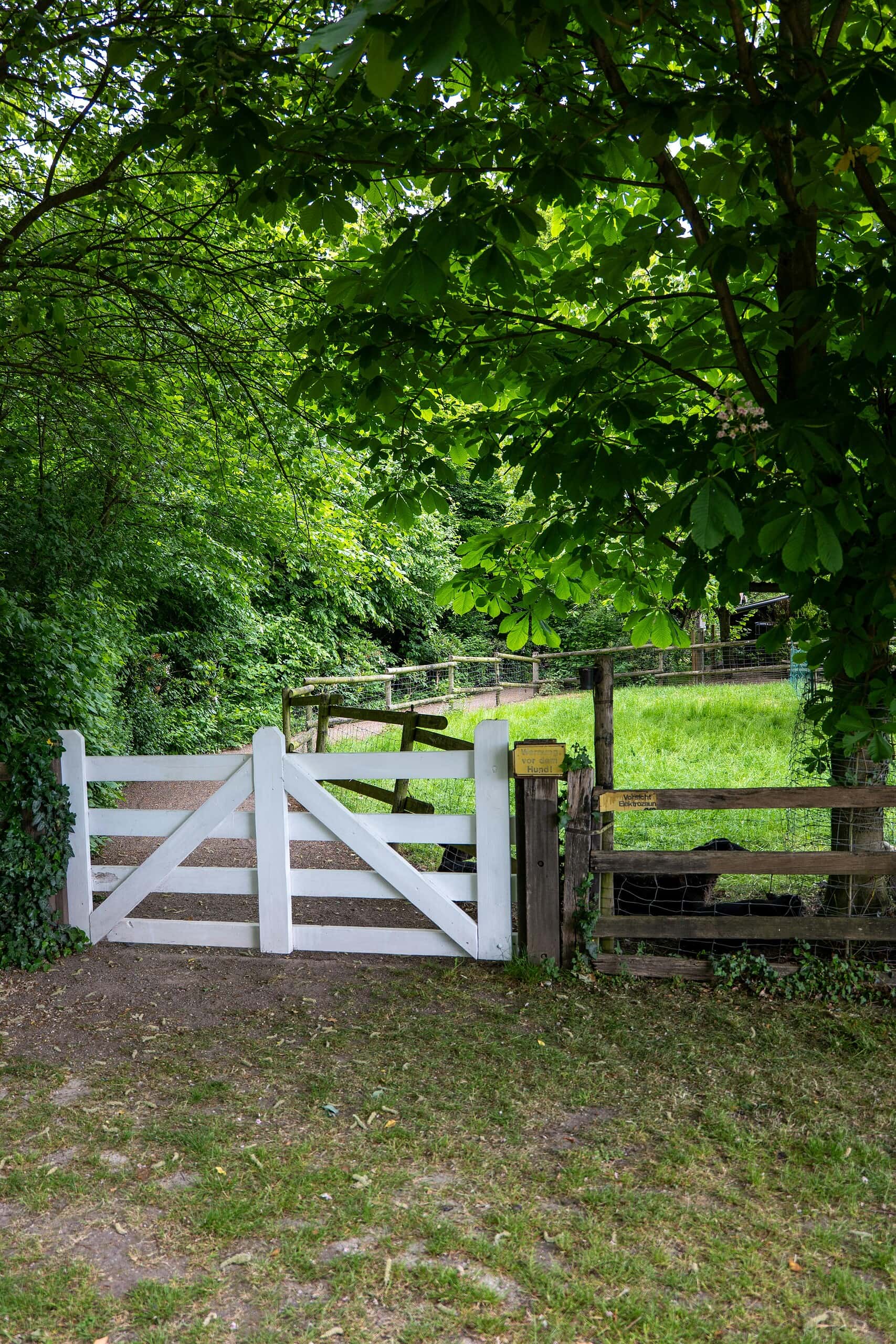 20 Gorgeous Farm Gate Entrance Ideas for Your Homestead - The Ultimate ...