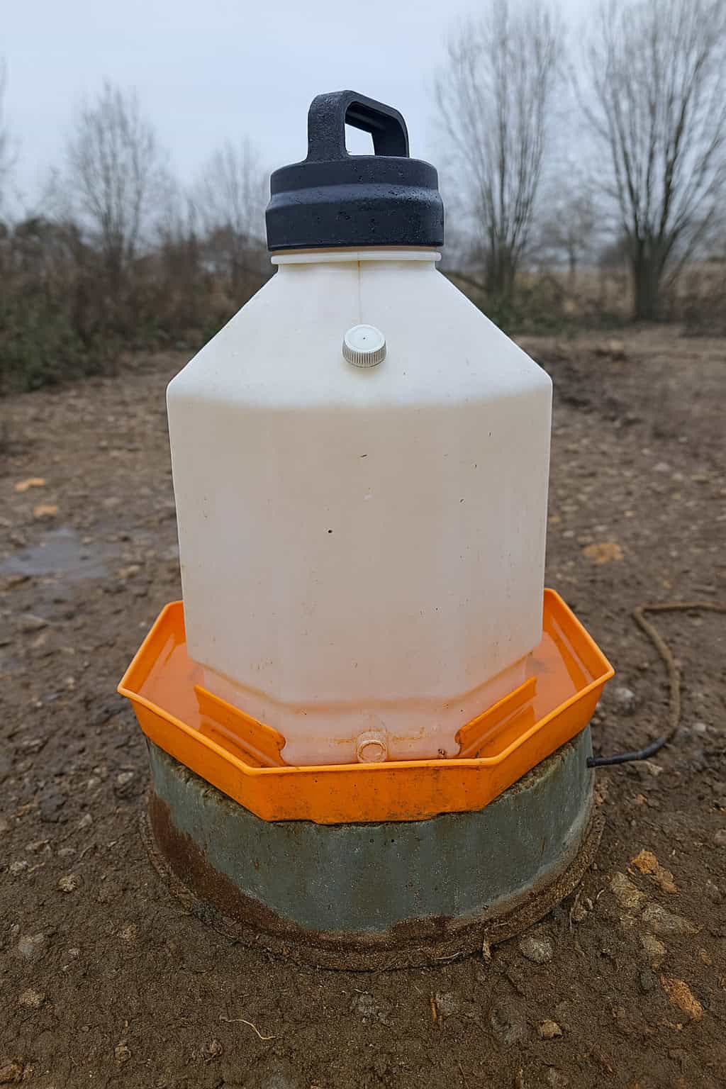 Best Heated Chicken Waterers for Winter (Top Picks, DIY Options, and ...