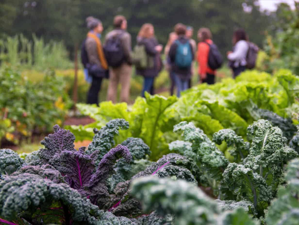 What Are Agritourism Farms and Why They’re Becoming So Popular