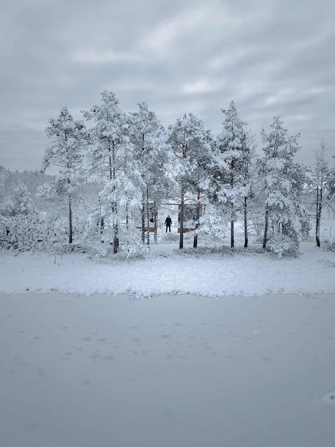 11 Life-Saving Winter Survival Skills to Keep You Safe in the Cold ...