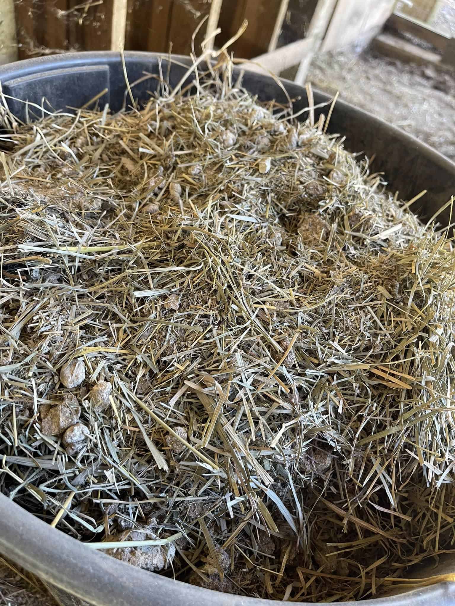 Everything You Need to Know About Composting Chicken Manure at Home