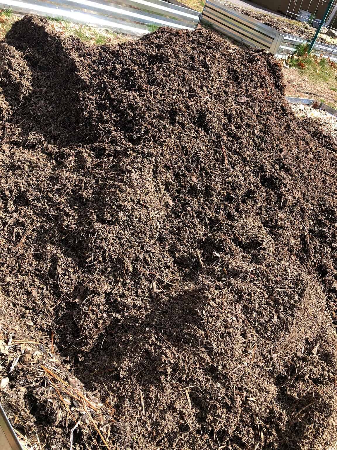 Everything You Need to Know About Composting Chicken Manure at Home