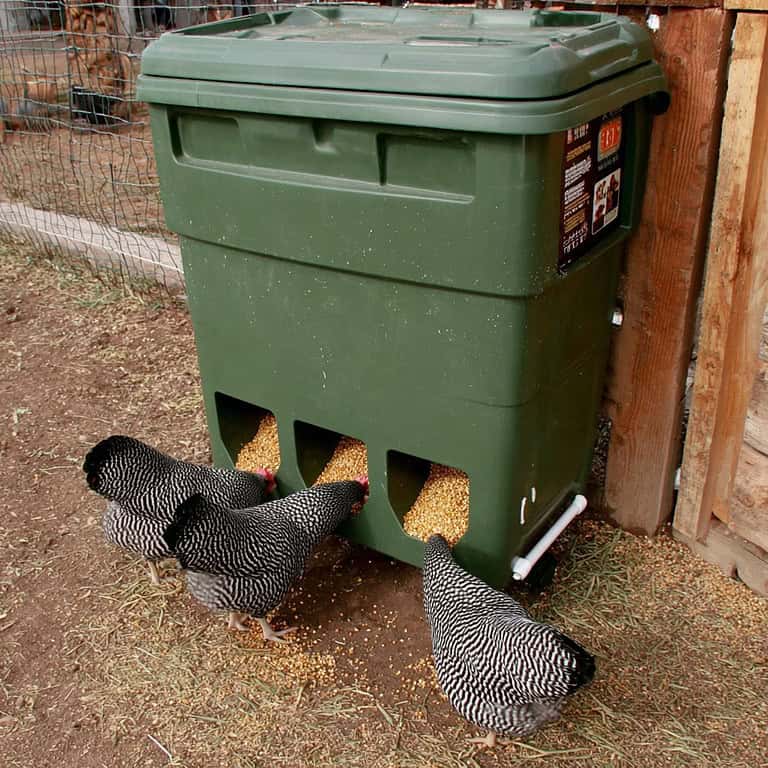 Top 10 DIY Chicken Feeder Ideas for Backyard Flocks - The Ultimate ...