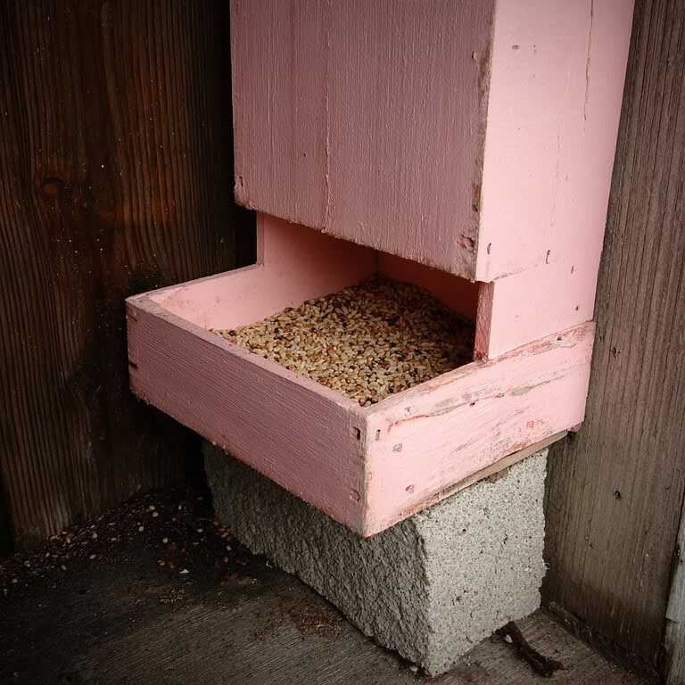 Top 10 DIY Chicken Feeder Ideas for Backyard Flocks - The Ultimate ...