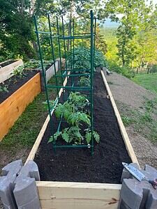 Your Go-To Vegetable Planting Calendar for a Productive Garden