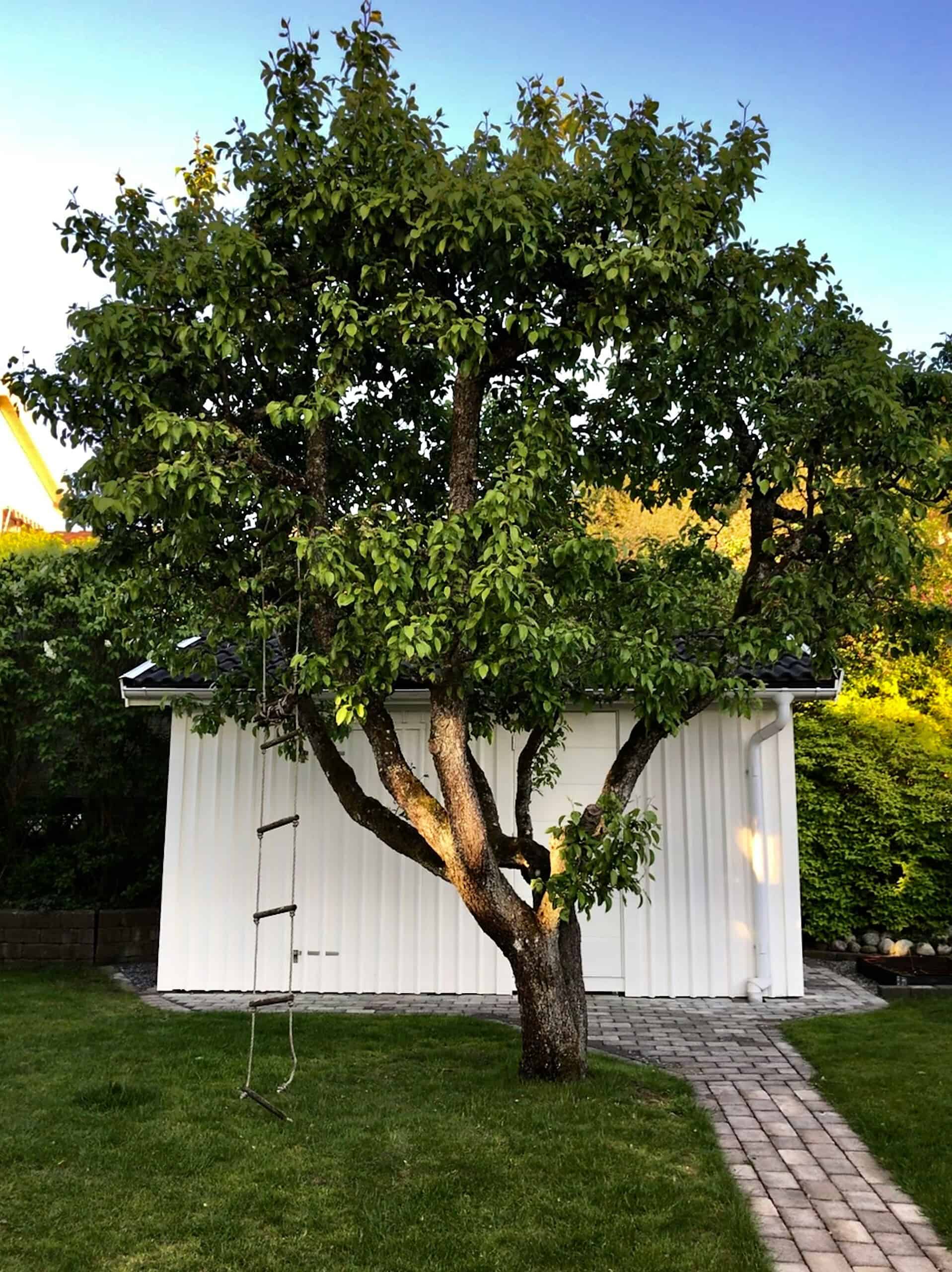 11 Effortless Landscaping Ideas Around Trees