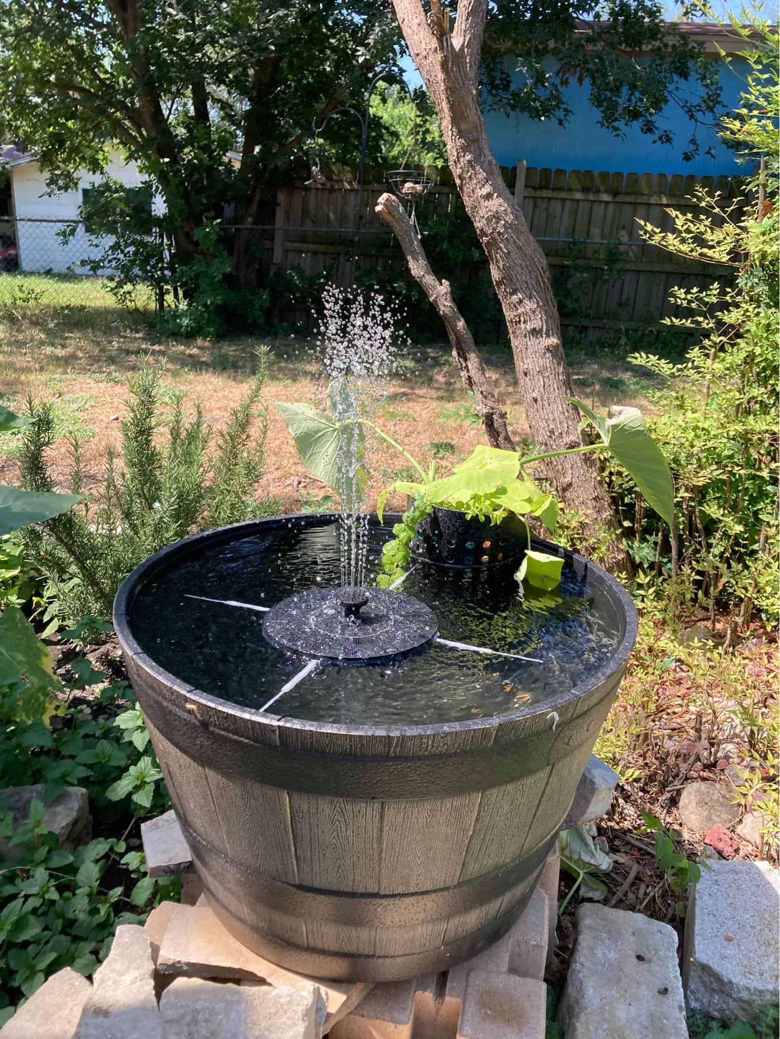 10 DIY Solar Water Fountains You Can Make for Your Backyard